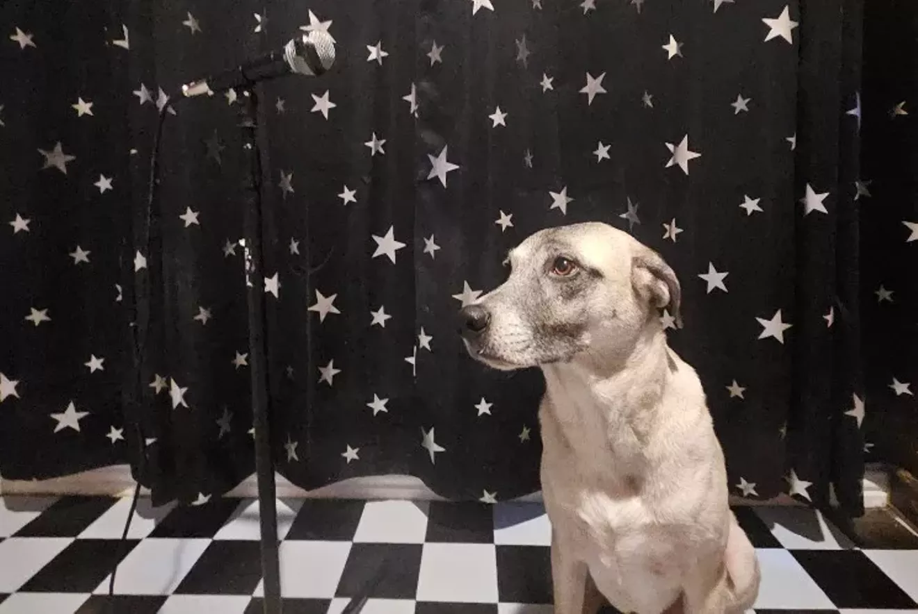 Things To Do: House Party Comedy "That's My Dawg!" July 22, 2023 ...