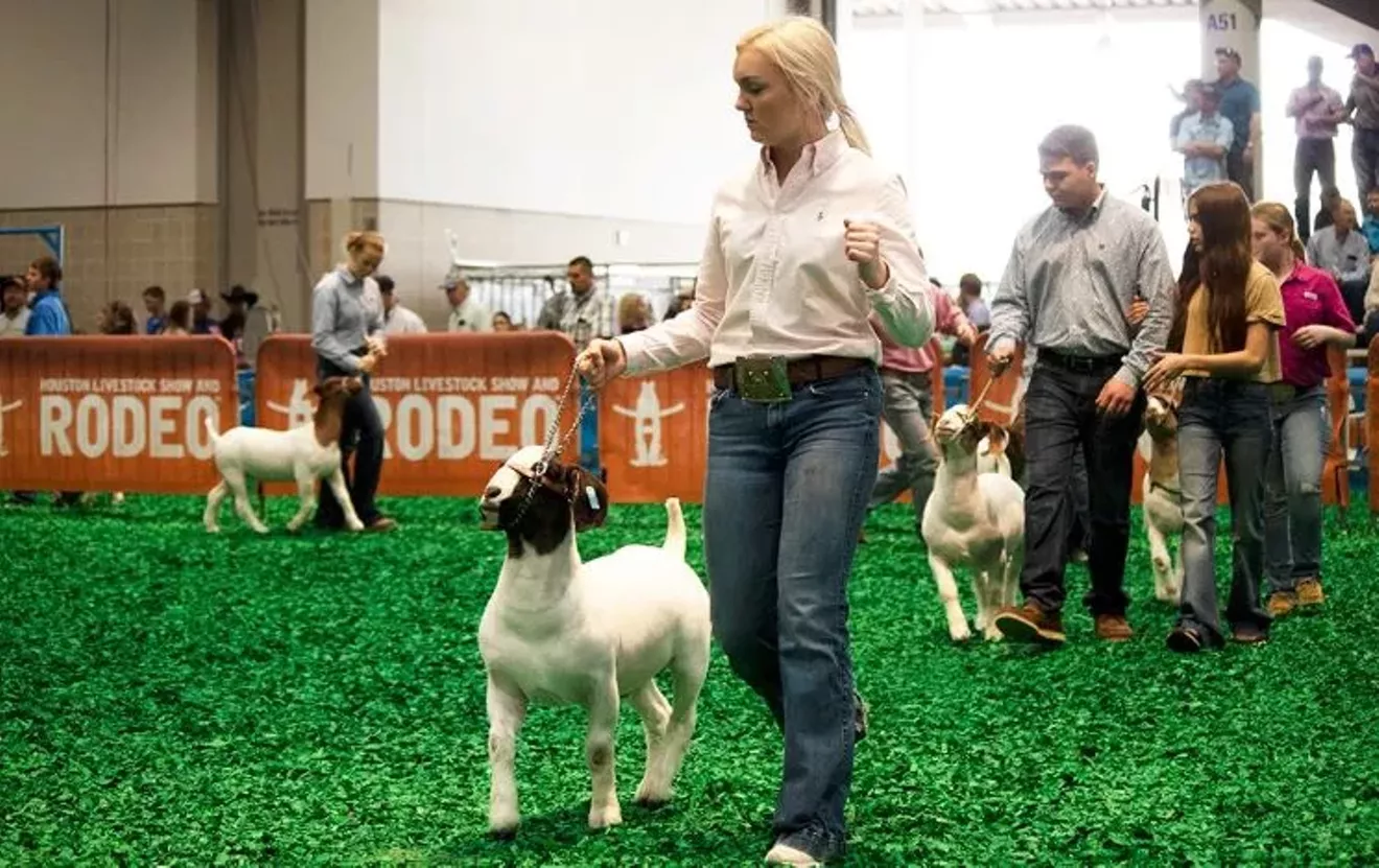 HLSR Says Junior Livestock Exhibitors Only in 2021 | Houston Press