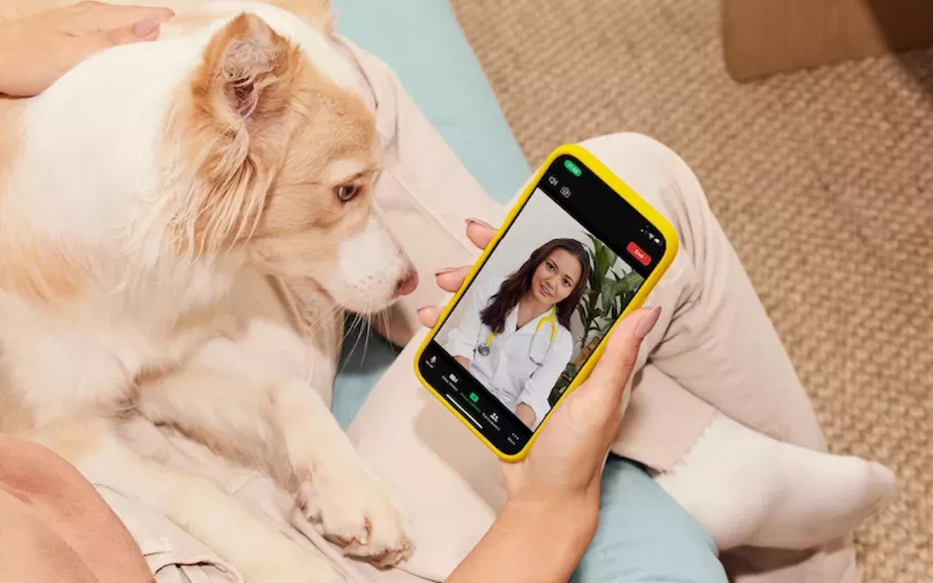 Veterinary Telehealth Services Increases Accessibility of Care to ...