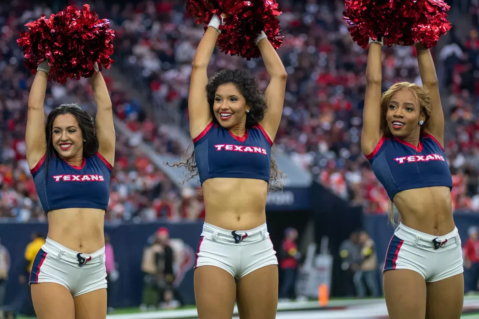 Texans Almost Pull an Upset | Houston Press