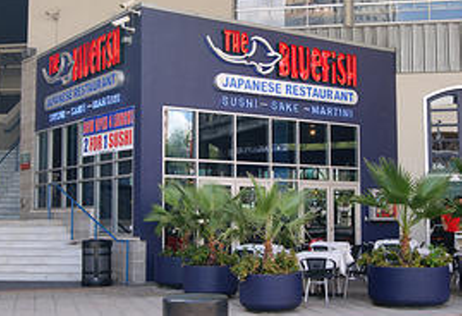 The Blue Fish | Downtown/ Midtown | Japanese, Sushi | Restaurant