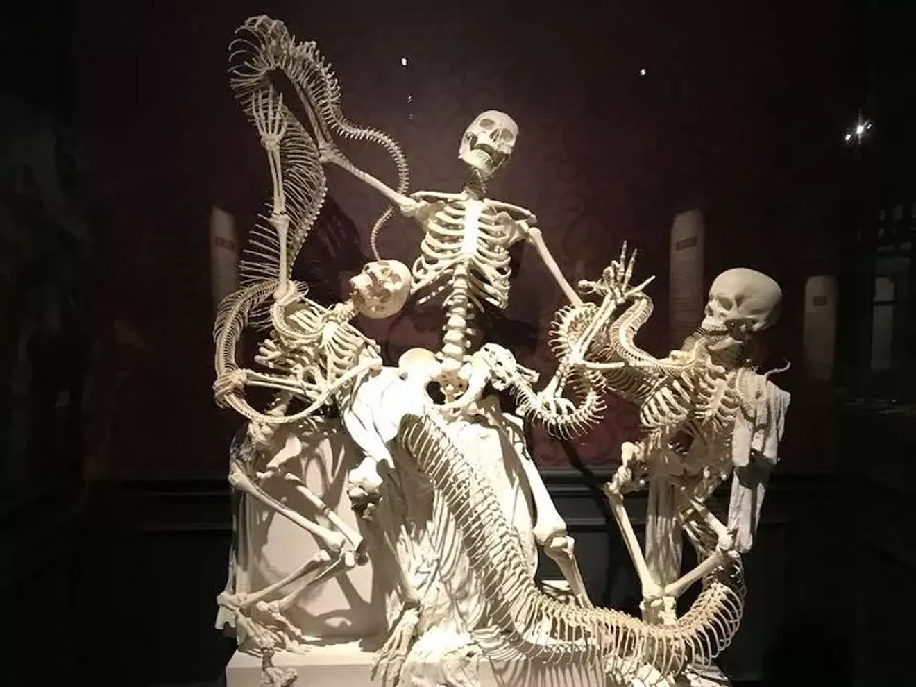 Laocoön Comes Alive (Sort Of) at the Houston Museum of Natural Science ...