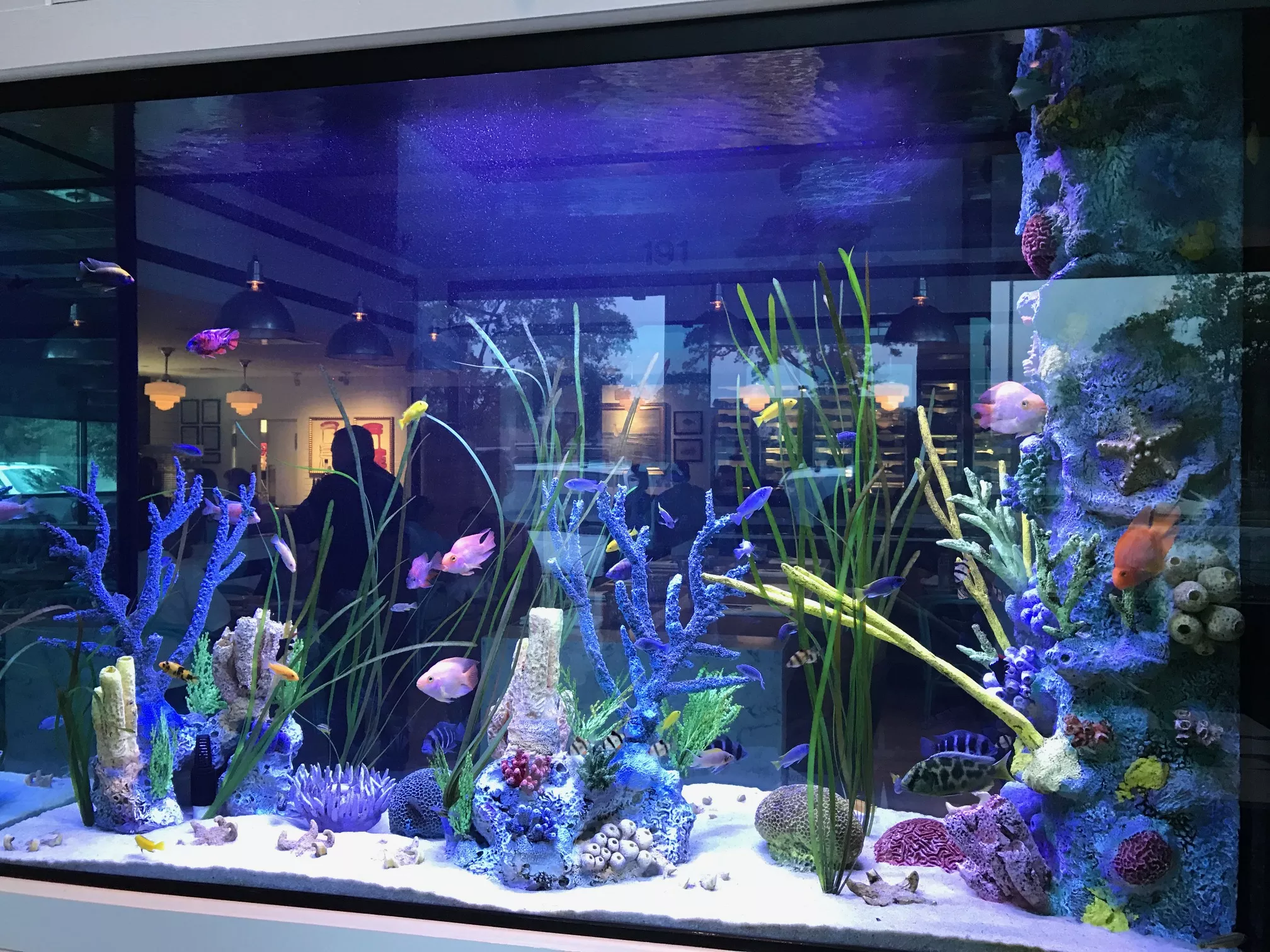 First Look: Starfish Seafood Restaurant Now Open in Houston, 2017 ...