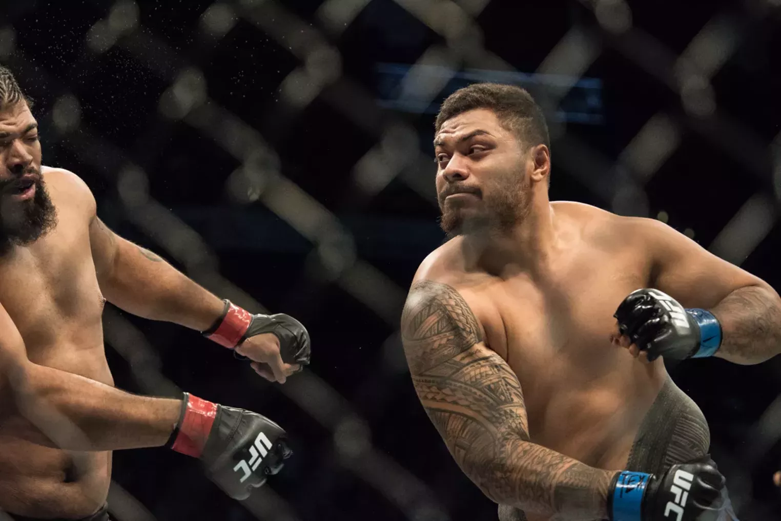 UFC 247 at the Toyota Center | Houston Press