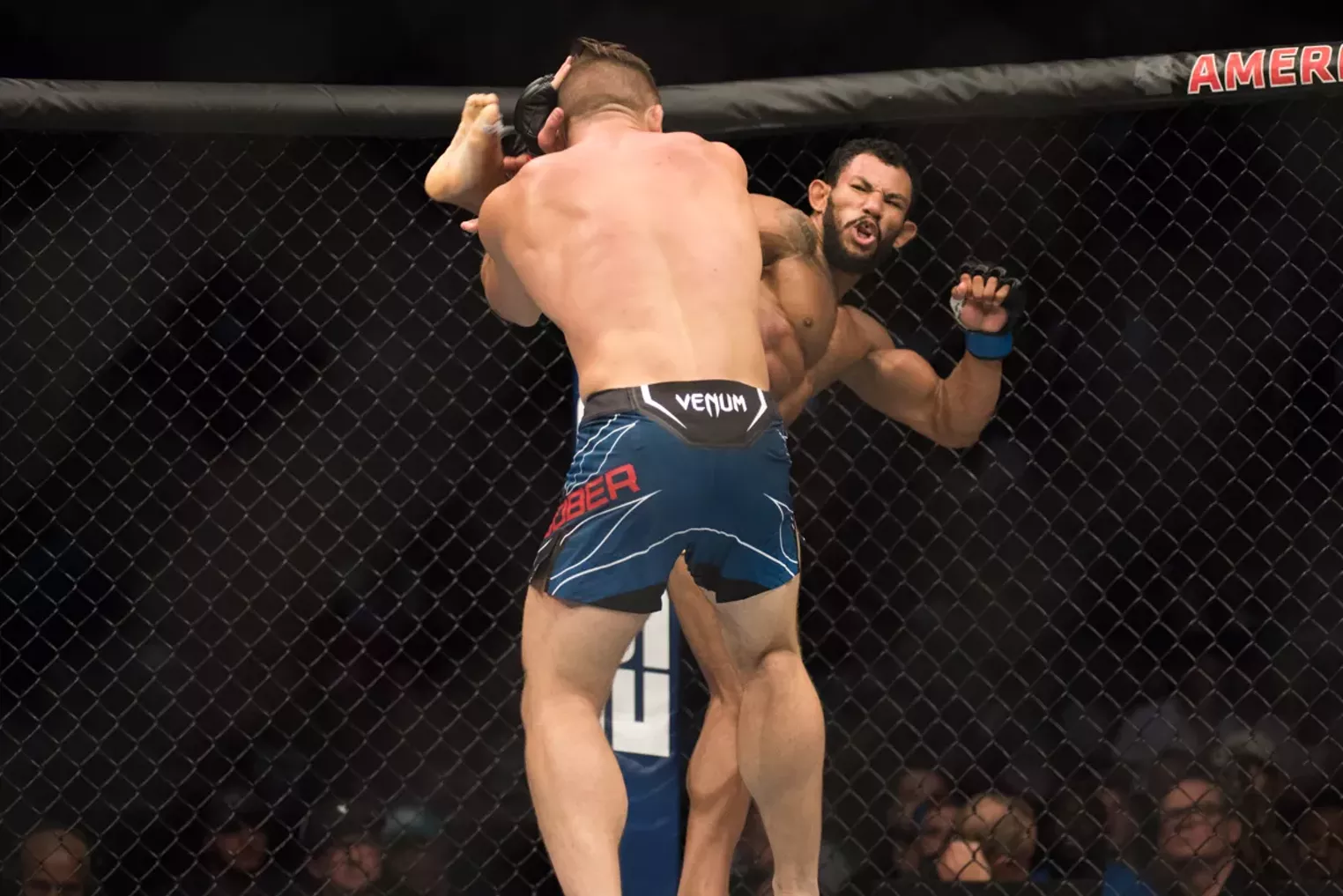 Houston-based MMA Fighters in Dallas | Houston Press