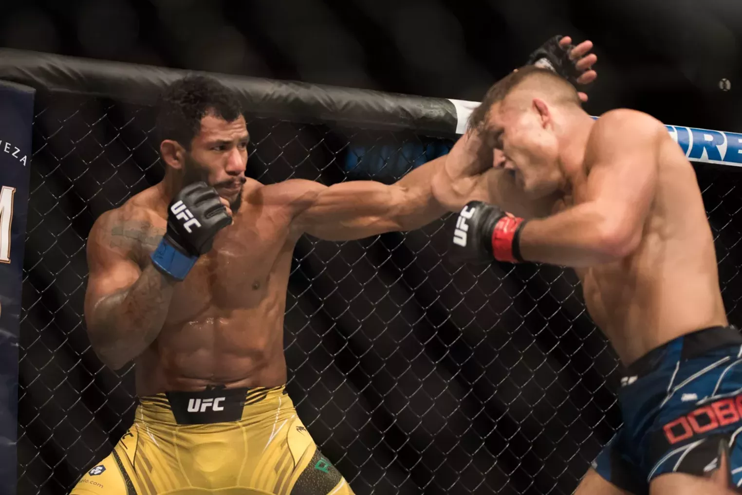 Houston-based MMA Fighters in Dallas | Houston Press