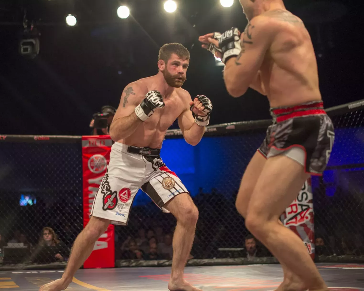 Heavy Hitting Action at Legacy Fighting Championship 50 | Houston ...