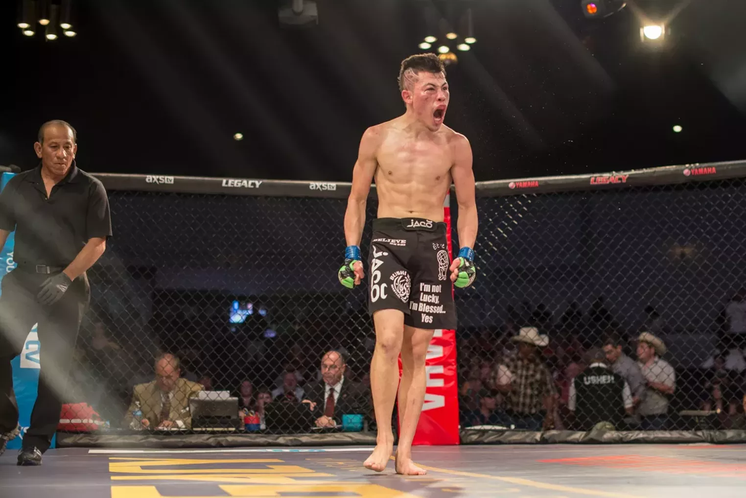 The Fast Paced MMA Action of Legacy Fighting Championship 55 | Houston ...